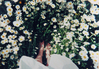 Happy Vernal (Spring) Equinox – Energy of New Life: March 20th, 2013 ...